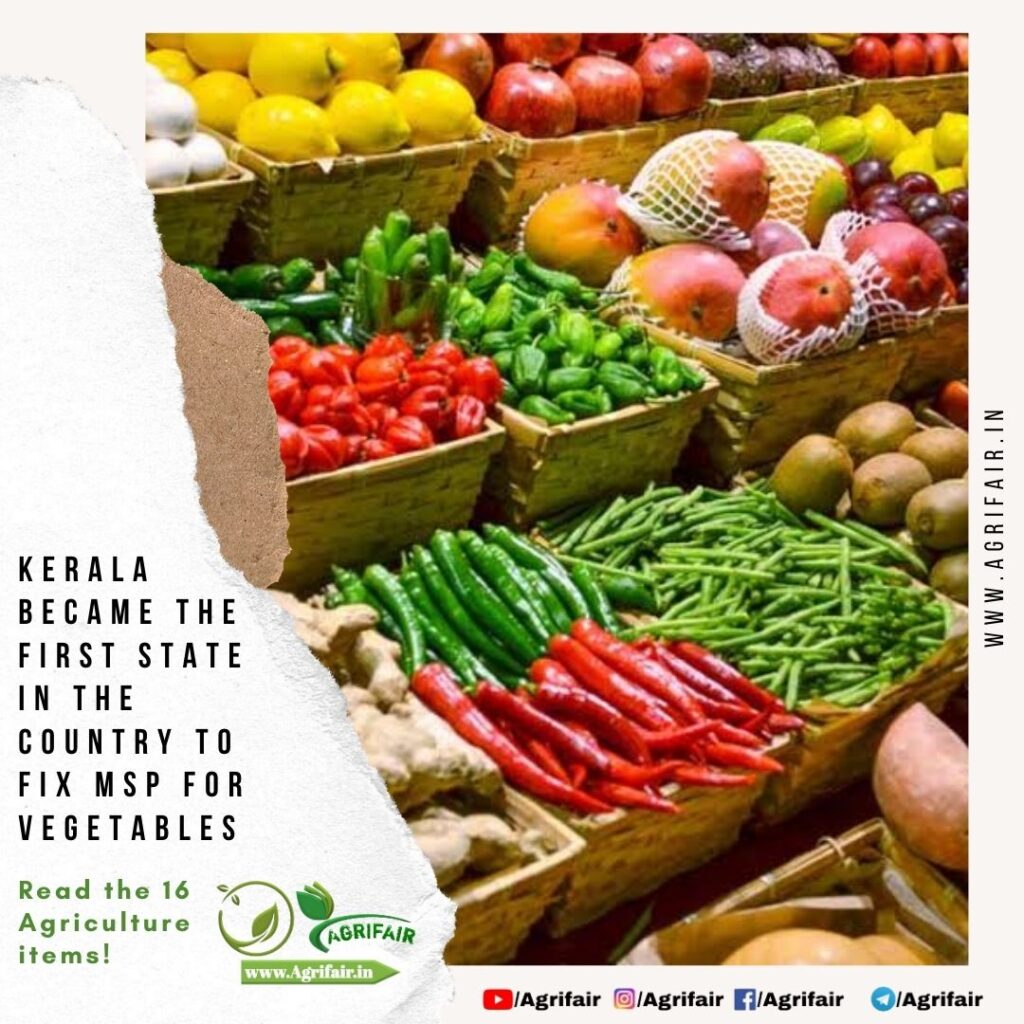 Kerala’s MSP for fruits, vegetables and Tubers; Here the list of 16 ...