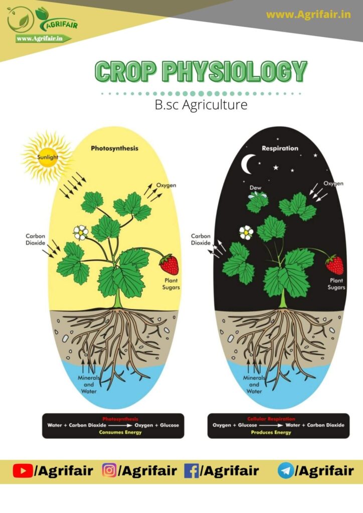 Crop Physiology pdf - AgriFair